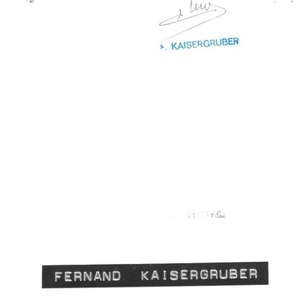 Fernand Kaisergruber – “Wiking” and “Wallonien” Division – Wolfgang ...